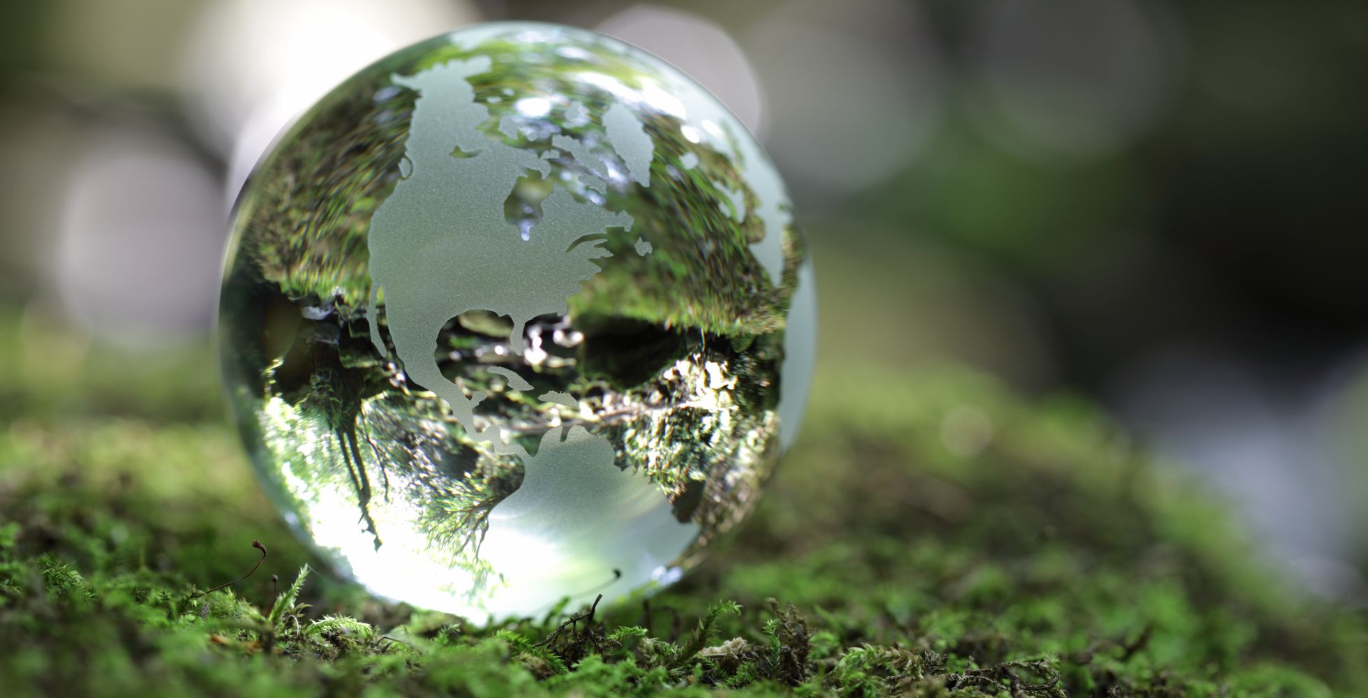 Chennai: Alagappa school enters in Asian Book of Records, sets a new ...