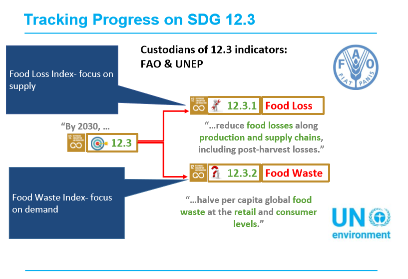 UNEP food waste Index report 2021: 1 bn tn food waste that can ...