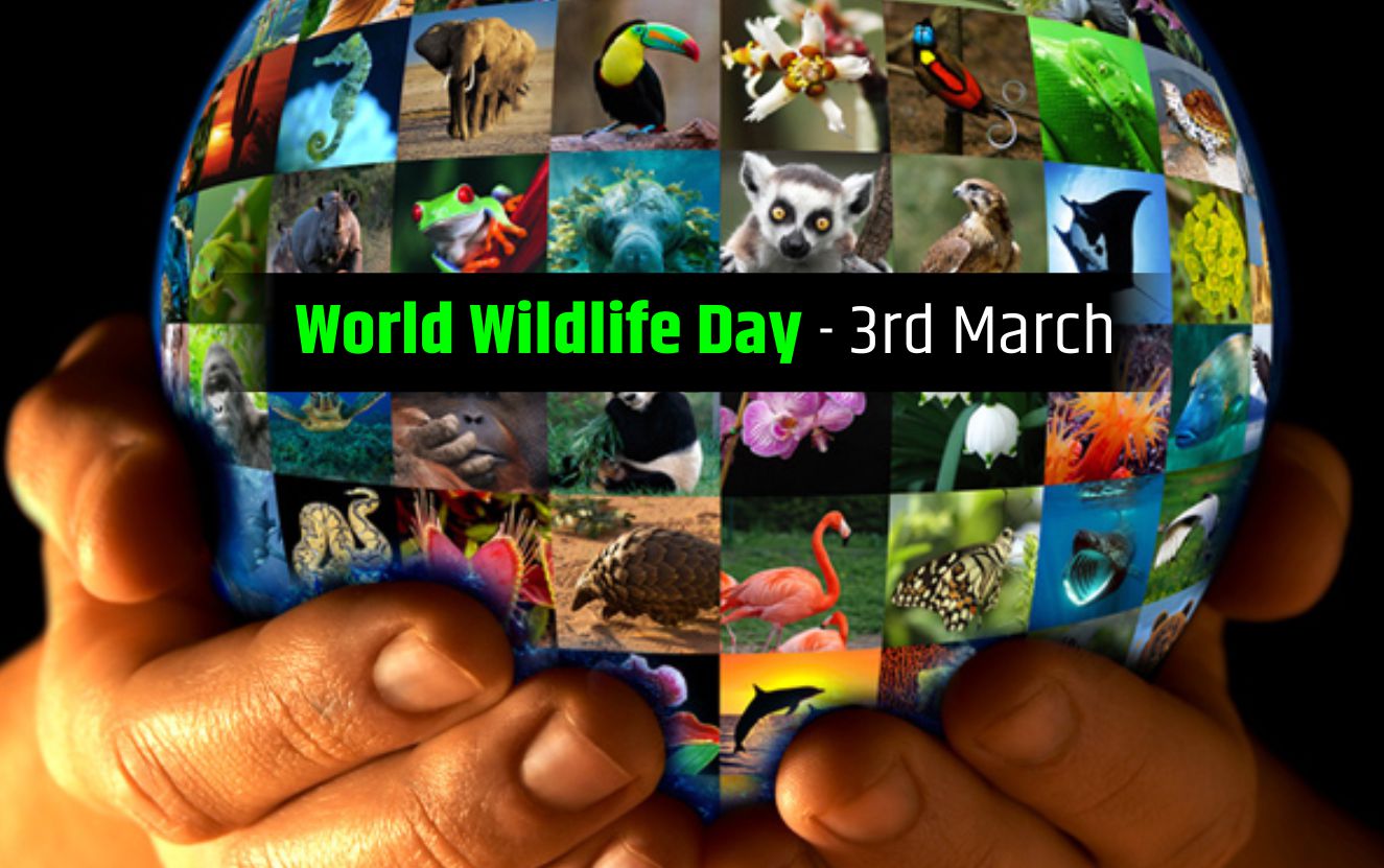 World Wildlife Day: Dear Forests and Livelihoods are to be preserved at ...