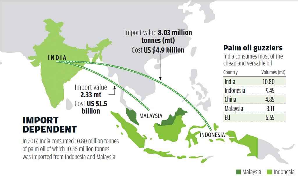 How sustainable is Palm oil cultivation: a benefit of doubt to India's ...