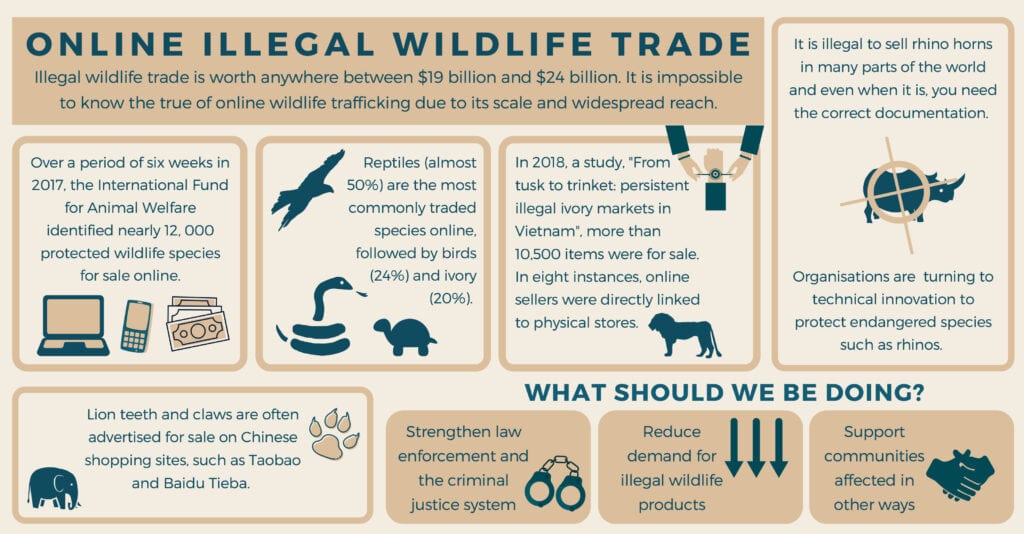 Social Media facilitates illicit wildlife trade: Virtual Actions with a ...