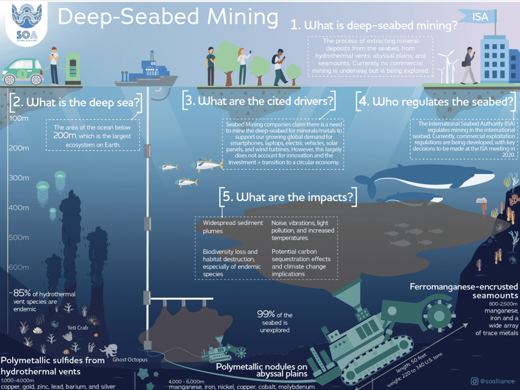 Deep-Sea Mining and Its Impact on the Dark World: Out of Sight but ...